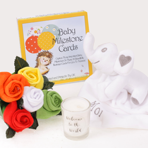 New Baby Gifts | Baby Gift Baskets | Baby Moi